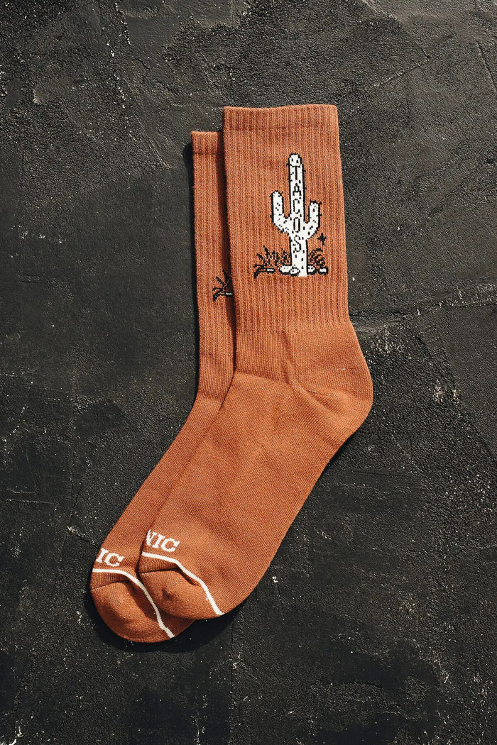 Cactus Taco Socks | Kariella
